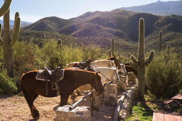 Lugares que mantienen viva la cultura cowboy & western – James Nava