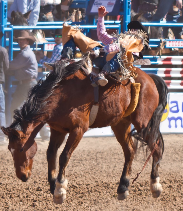 Lugares que mantienen viva la cultura cowboy & western – James Nava